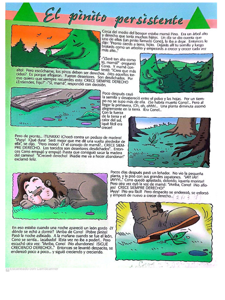 02 Historia El Pinito Persistente y Testimonio Personal | PDF