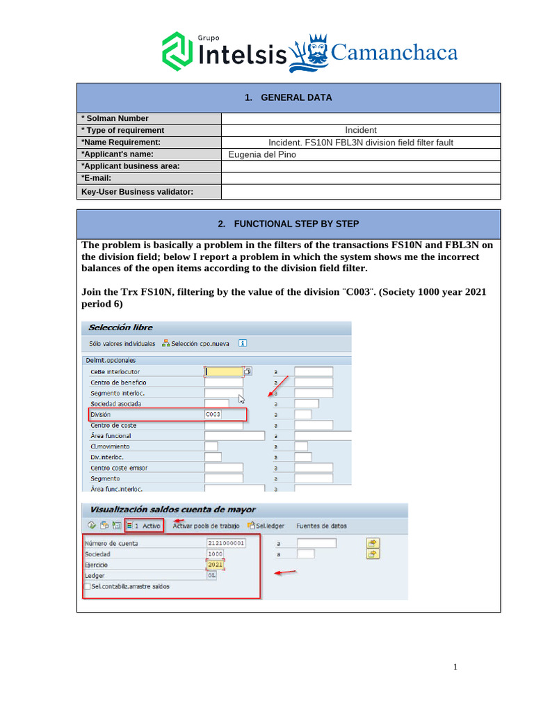 Incident. FS10N and FBL3N Dision Field Filter Fault | PDF