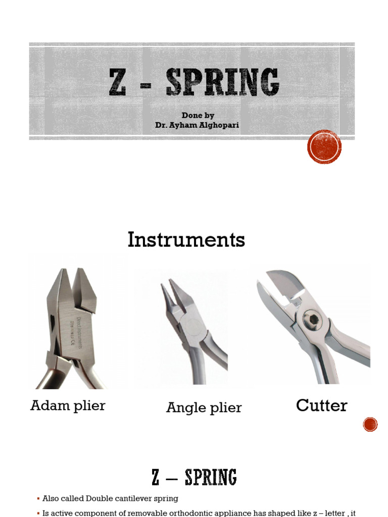 Z Spring | PDF
