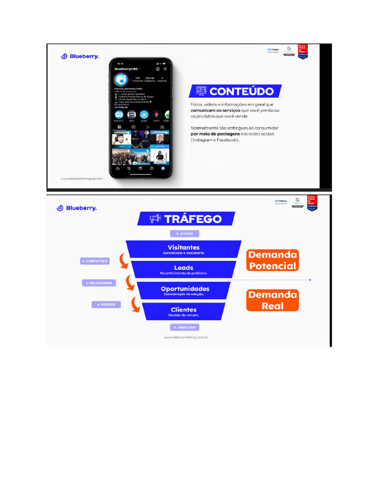 Blueberry Ads | PDF