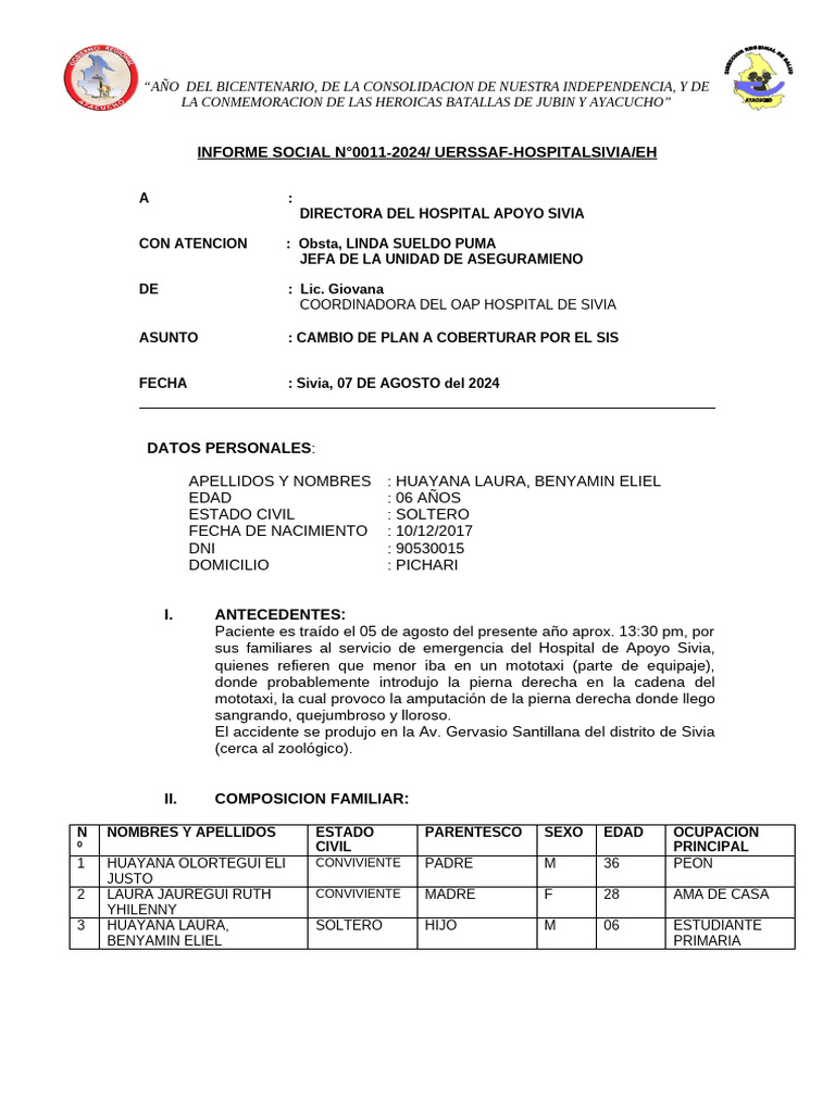 Modelo de Informe | PDF