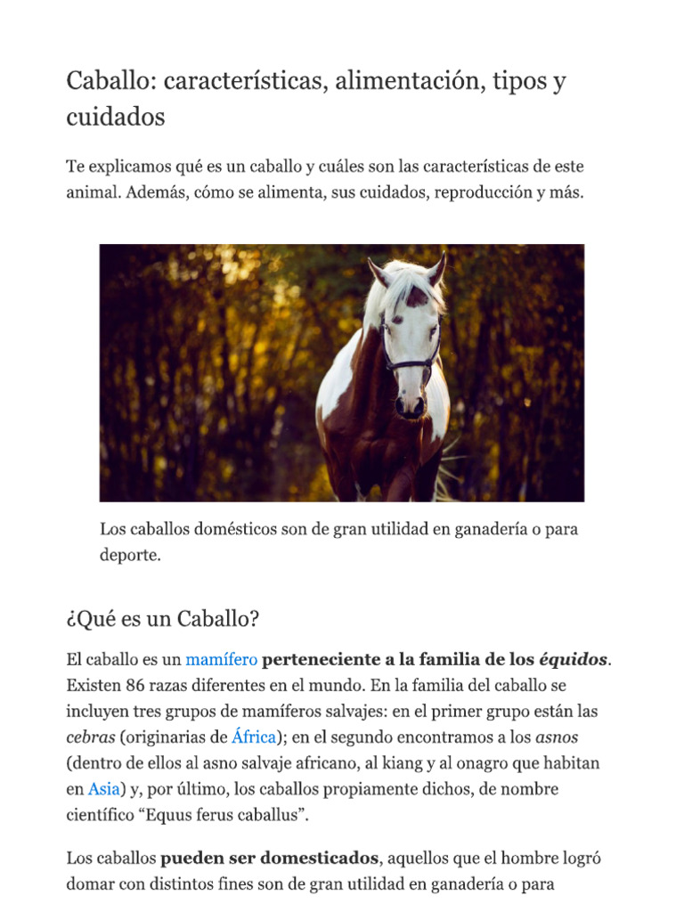Caballo 1 | PDF
