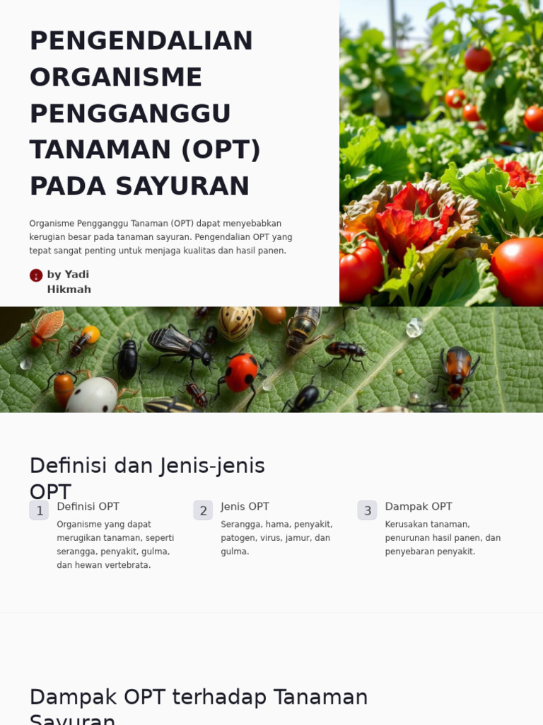 Pengendalian Organisme Pengganggu Tanaman OPT Pada Sayuran | PDF