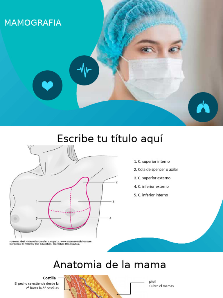 Anatomia de La Mama | PDF
