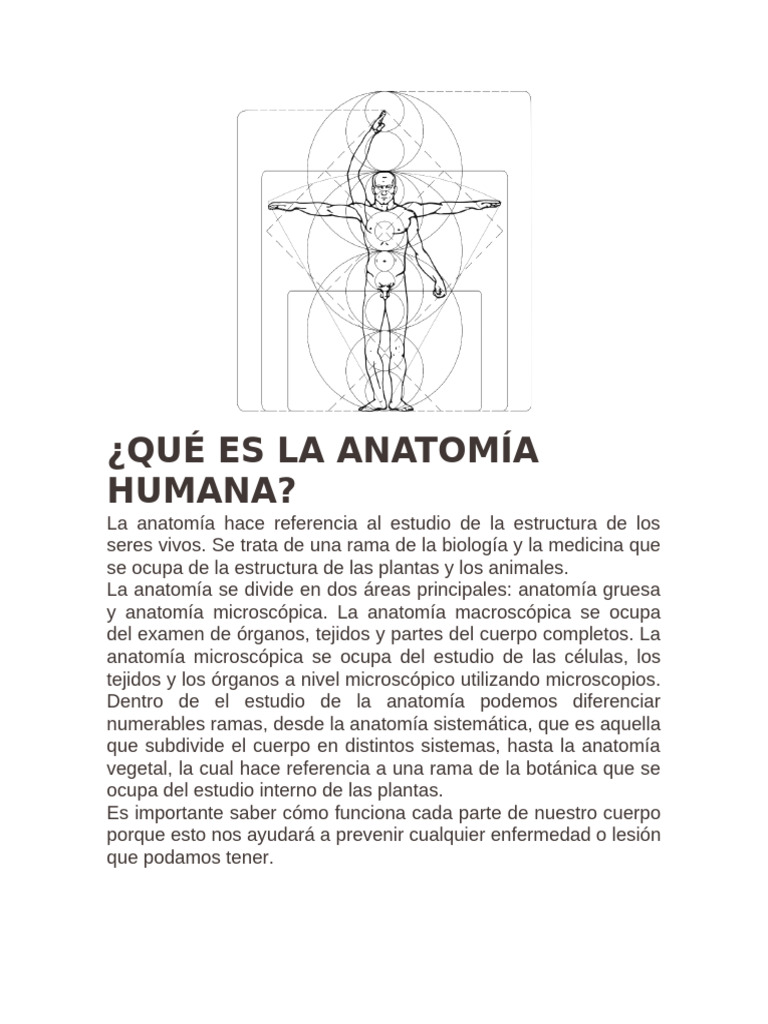 Qué Es La Anatomía Humana | PDF | Anatomía | Relaciones personales ...