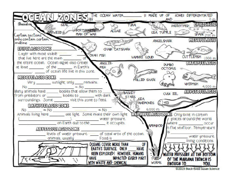 Ocean Zones Doodle Notes Student Copy | PDF