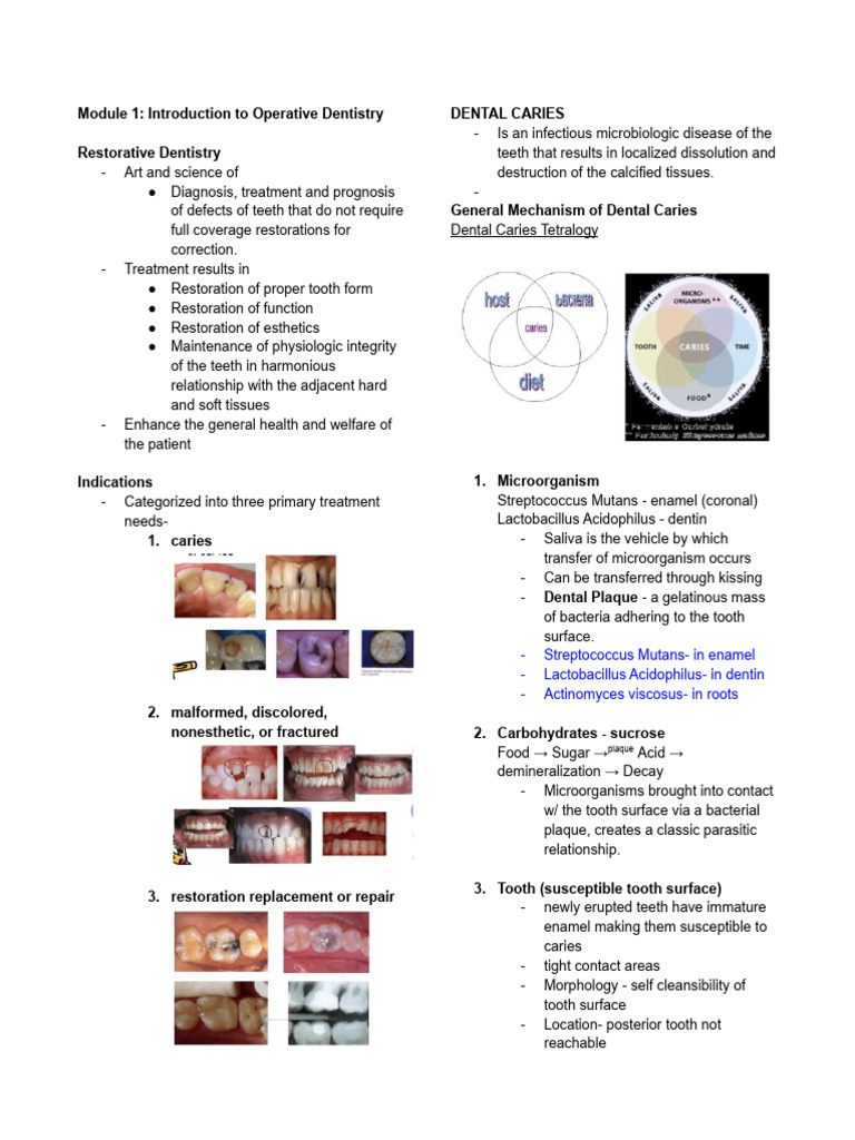 Open OPD1-and-BEQ 3 | PDF