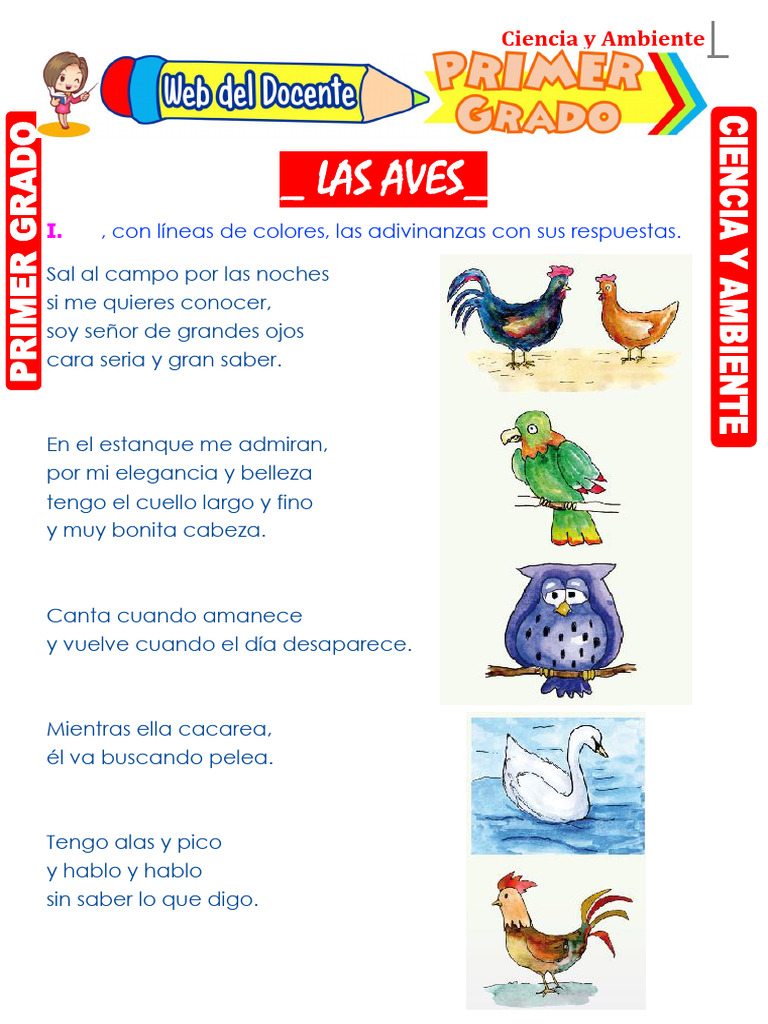 Las Aves Para Primer Grado De Primaria Pdf
