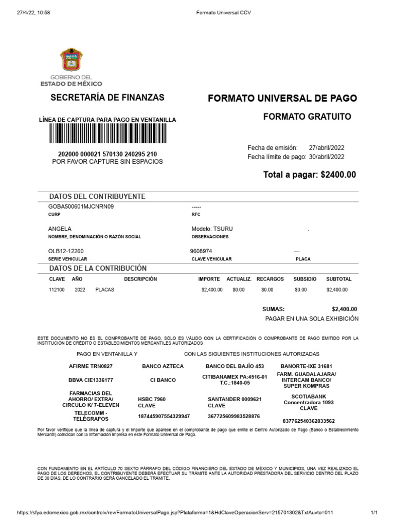 Formato Universal CCV | PDF