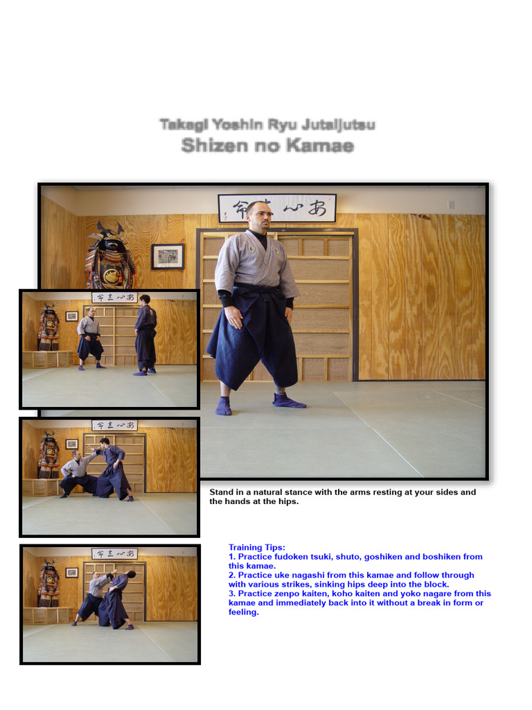 Jinenkan Takagi Yoshin Ryu Shizen No Kamae | PDF