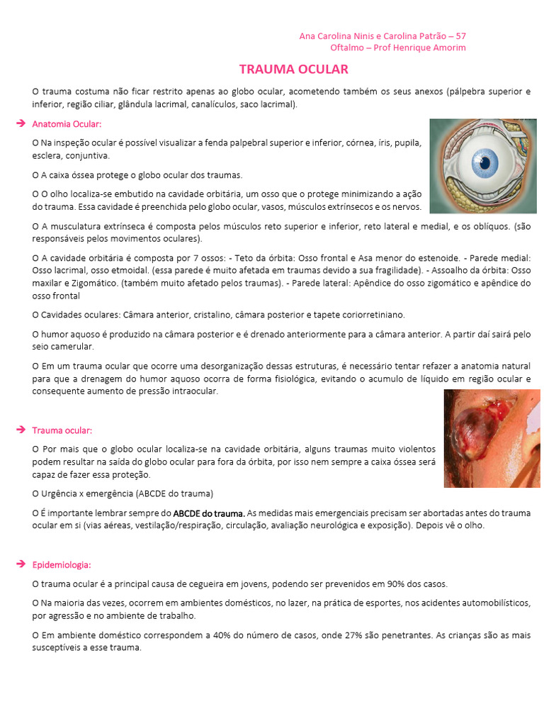 TRAUMA OCULAR | PDF
