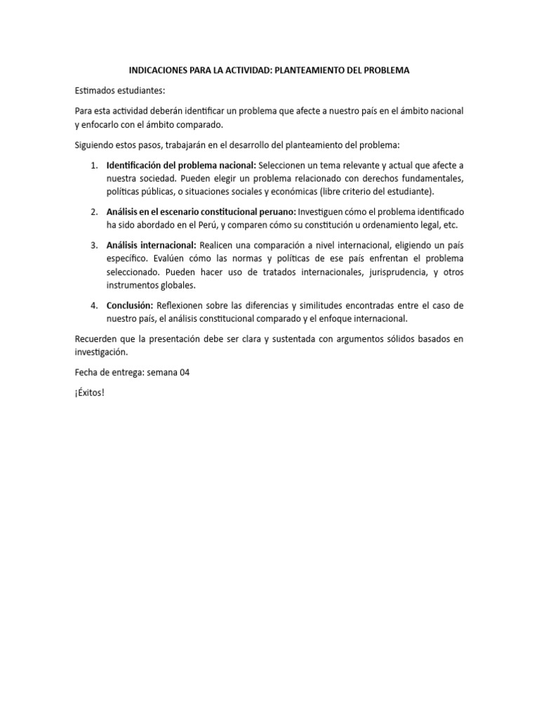 Indicaciones para La Actividad - DCC - 2024 | PDF