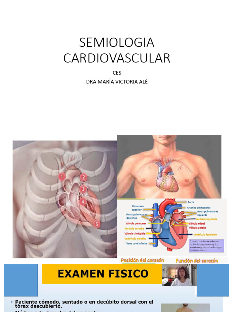 Semiologia Cardiovascular | PDF