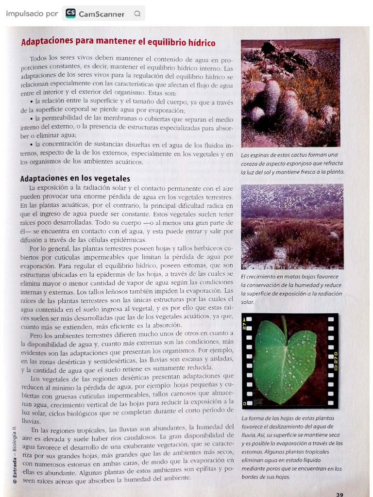 Adaptaciones de Plantas y Animales | PDF