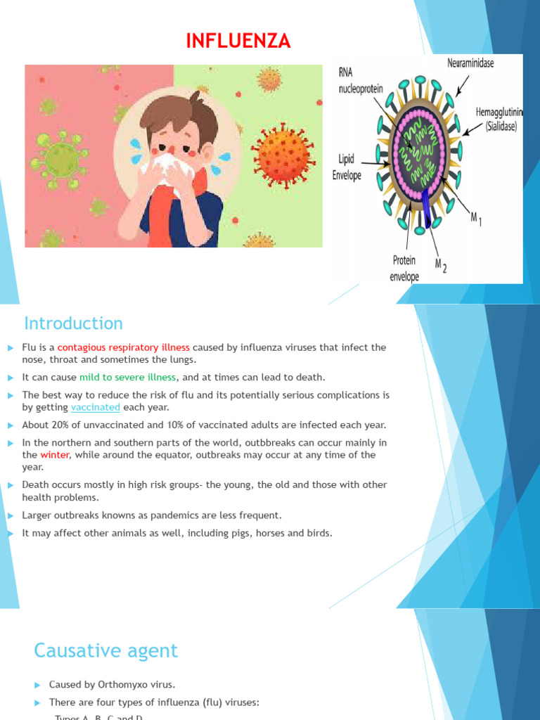 Influenza | PDF