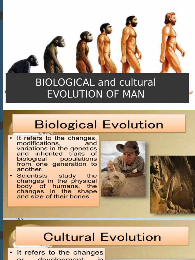 Biological Evolution of Man | PDF