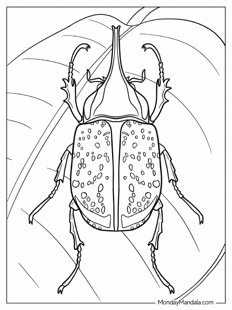 Eastern Hercules Beetle | PDF