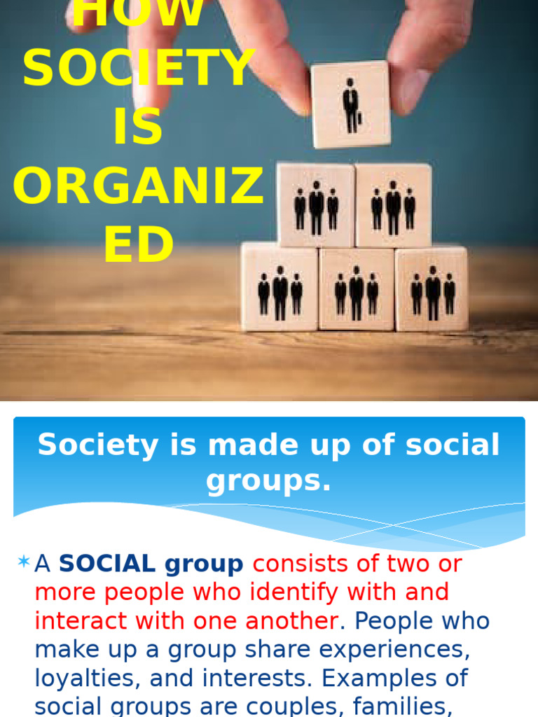 Lesson 5 How A Society Is Organized | PDF