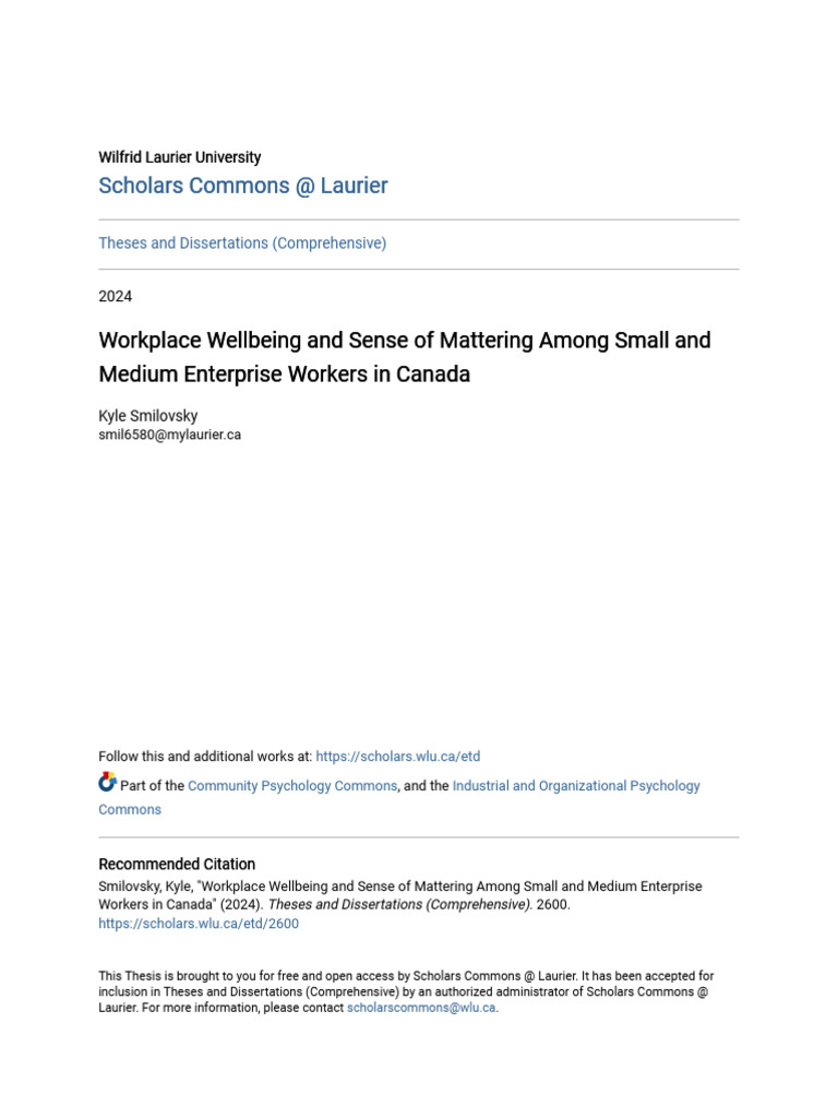 Workplace Wellbeing and Sense of Mattering Among Small and Medium | PDF