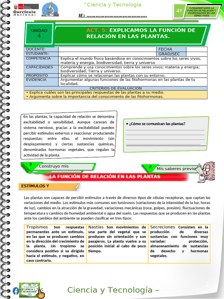 D-4º Act 5-Cyt-Und 4 | PDF