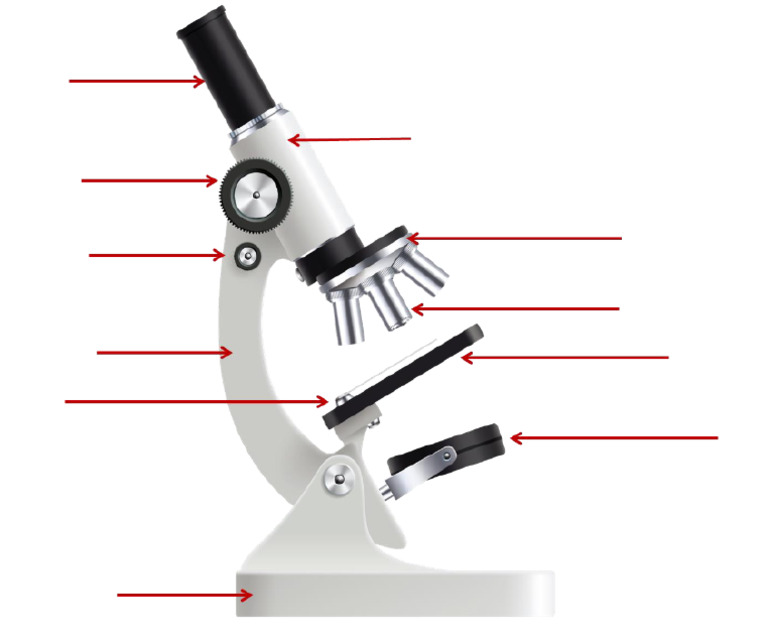 Partes Del Microscopio | PDF