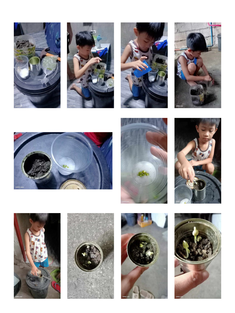 Monggo Planting | PDF
