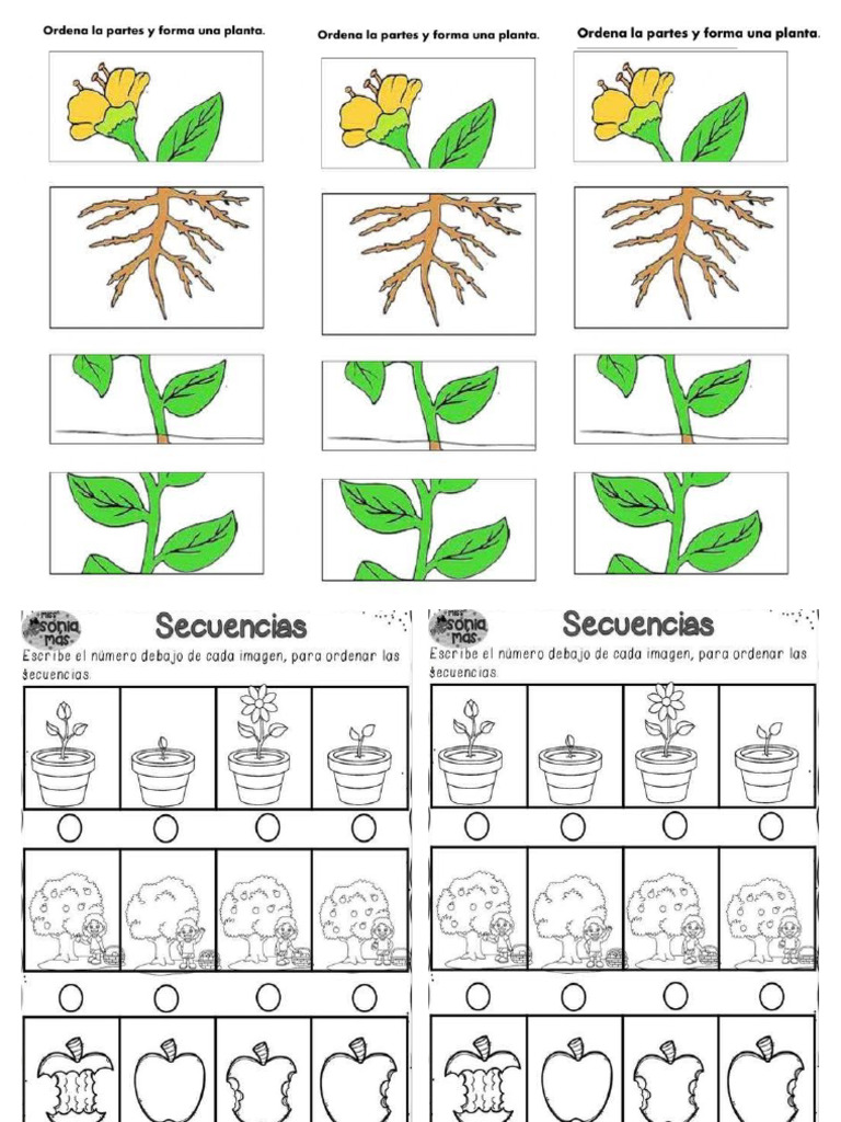 SECUENCIA DE PLANTAS | PDF
