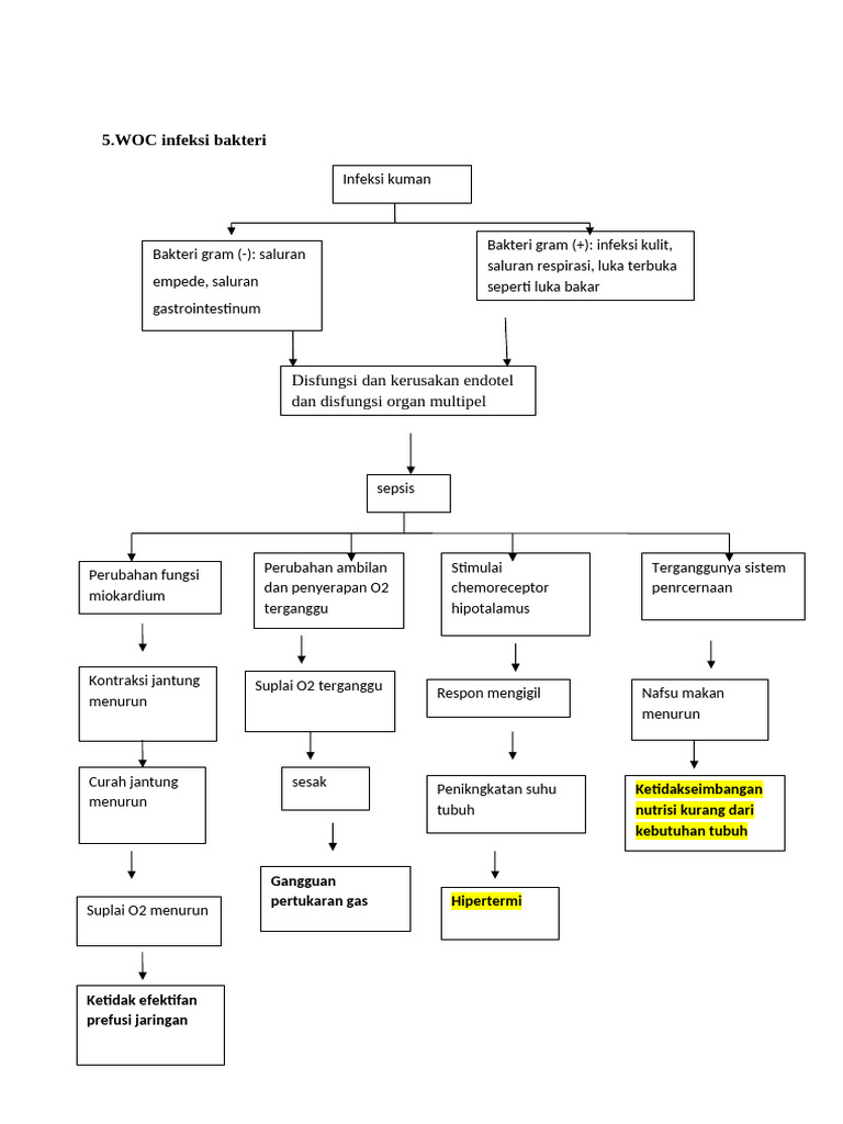 WOC Infeksi Bakteri | PDF