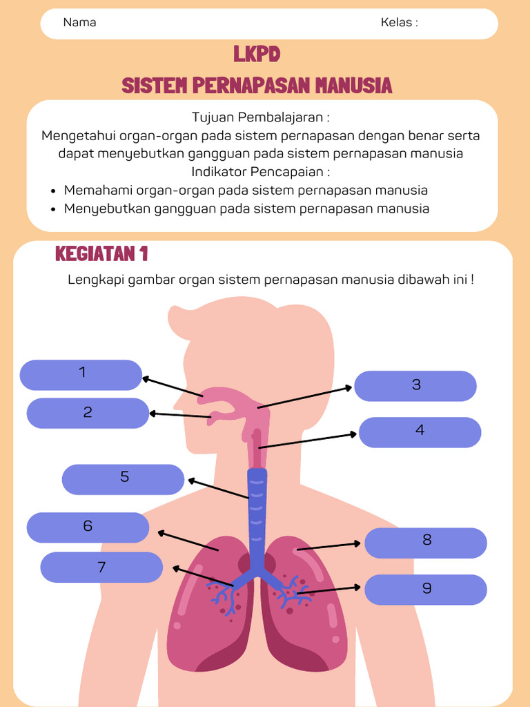 LKPD - Sistem Pernapasan Manusia | PDF