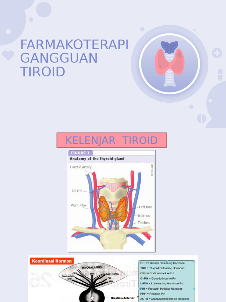 Farter Gangguan Tiroid 24 | PDF
