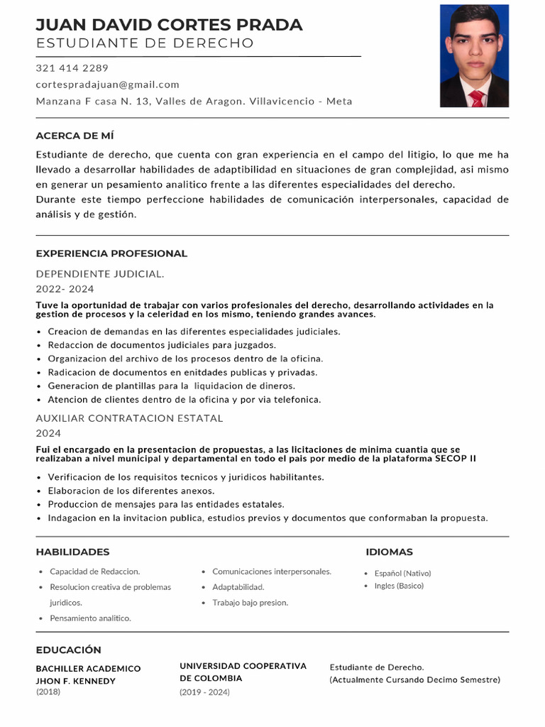 Curriculum Profesional | PDF