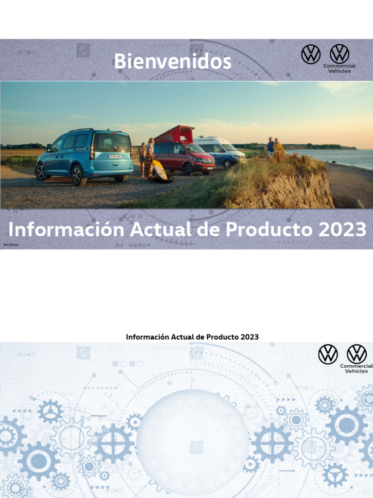 Api 2023 - VW | PDF