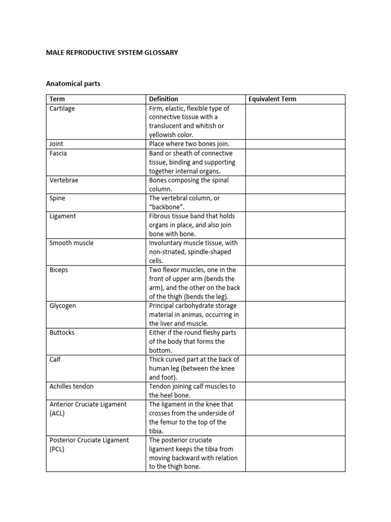 MUSCULOSKELETAL SYSTEM GLOSSARY | PDF
