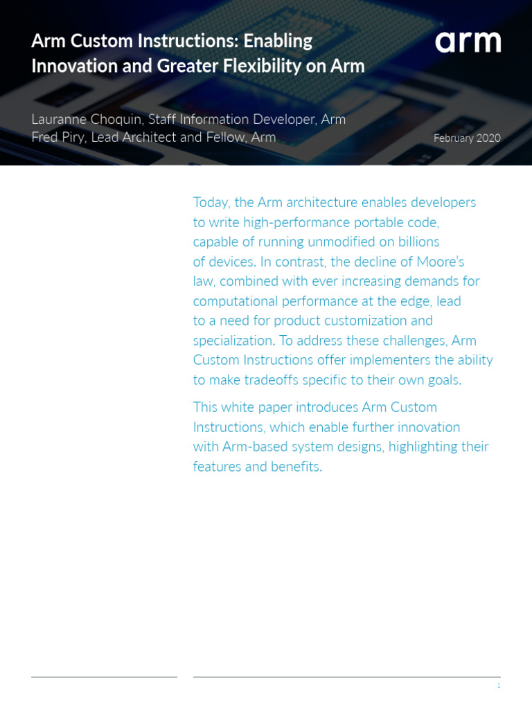 Arm Custom Instructions WP | PDF