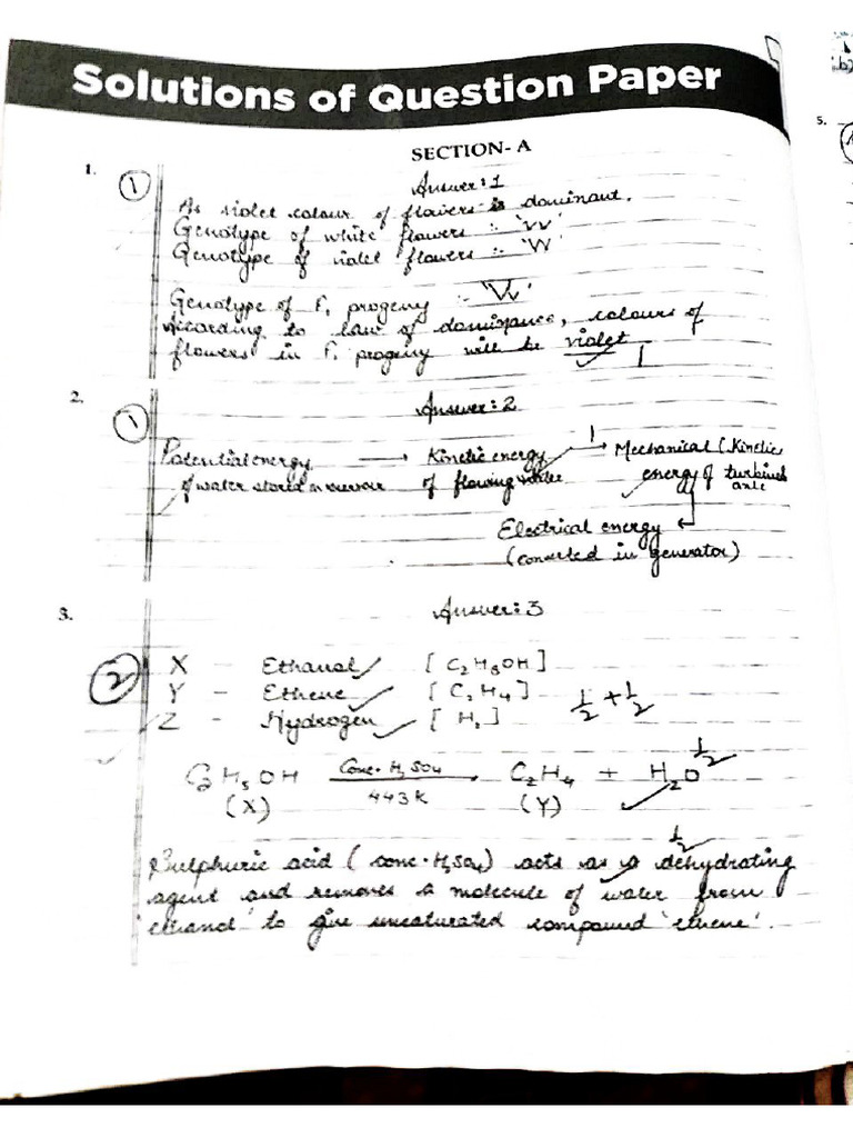Science Class 10 2k23 Answersheet | PDF