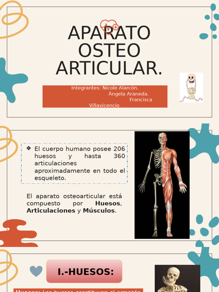 Aparato Osteoarticular | PDF