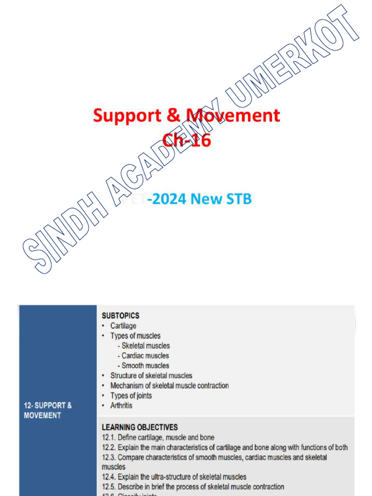 Support & Movement PDF-1 | PDF