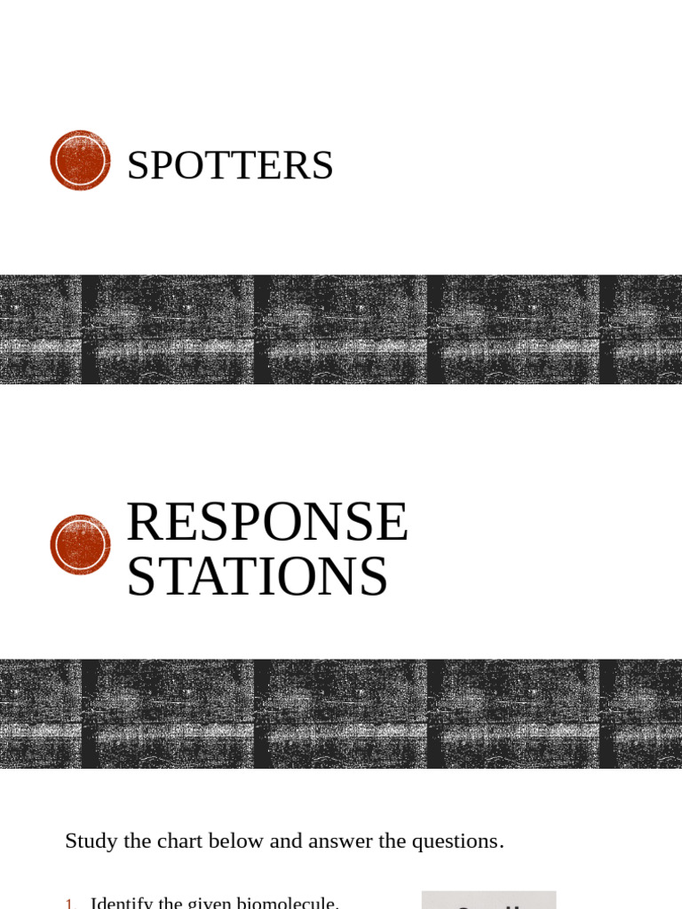 Spotters | PDF