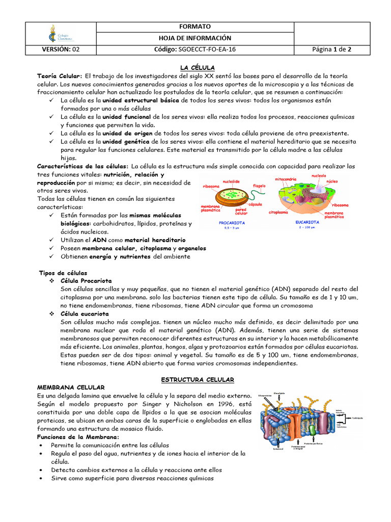 HI-La Célula y Su Estructura - SEXTO | PDF