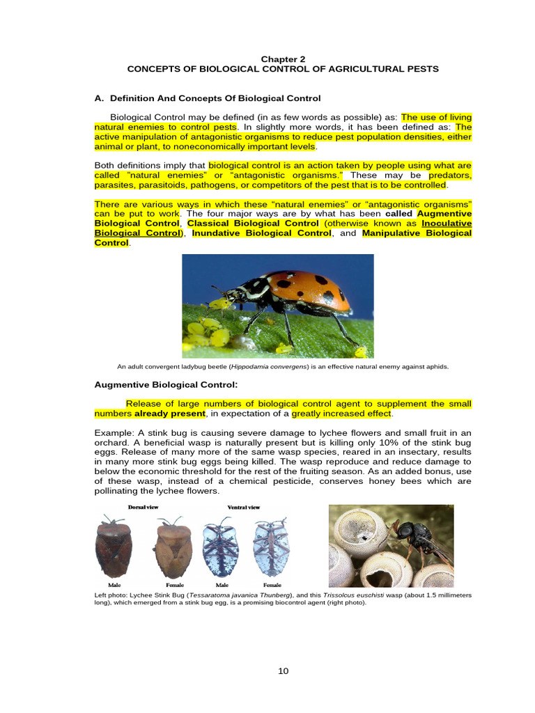 Biological Control of Agricultural Pests | PDF | Biological Pest ...