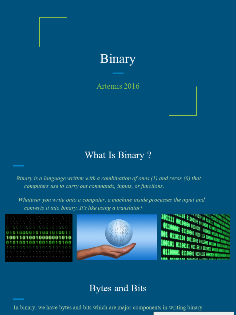 Binary | PDF
