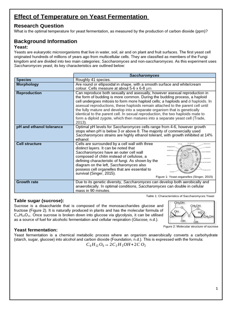 Yeast Fermentation Report | PDF | Fermentation | Cellular Respiration