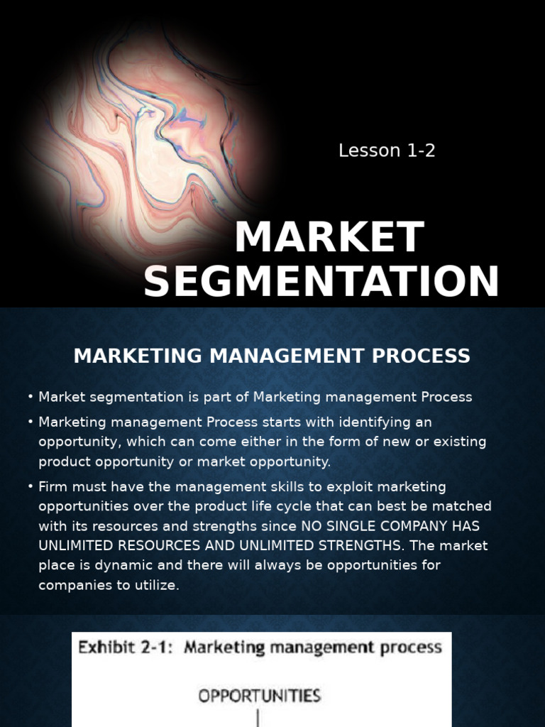 Lesson 2 Market Segmentation | PDF
