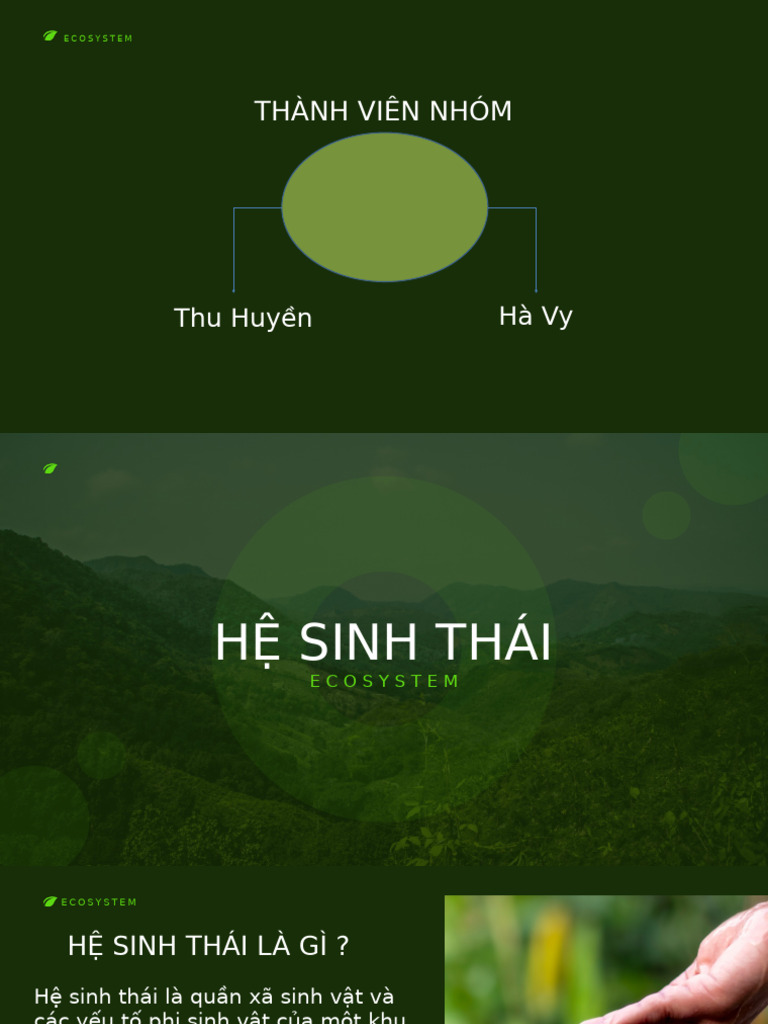 Môi Trư NG Sinh Thái | PDF