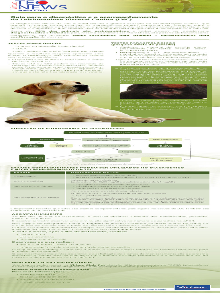 Guia Diagnóstico Leish | PDF