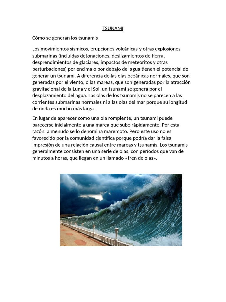 TSUNAMI 1 | PDF