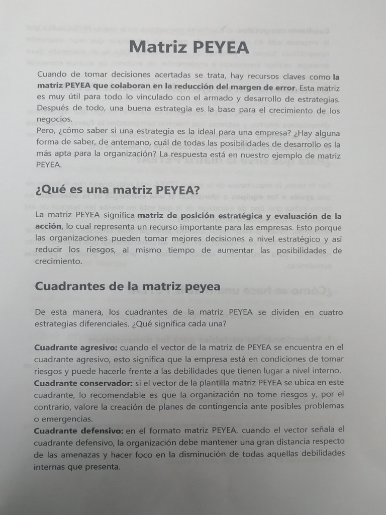 PEYEA | PDF