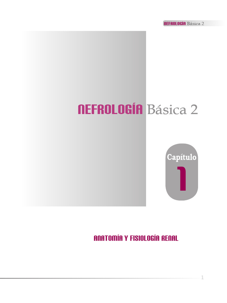 Nefrología Básica | PDF