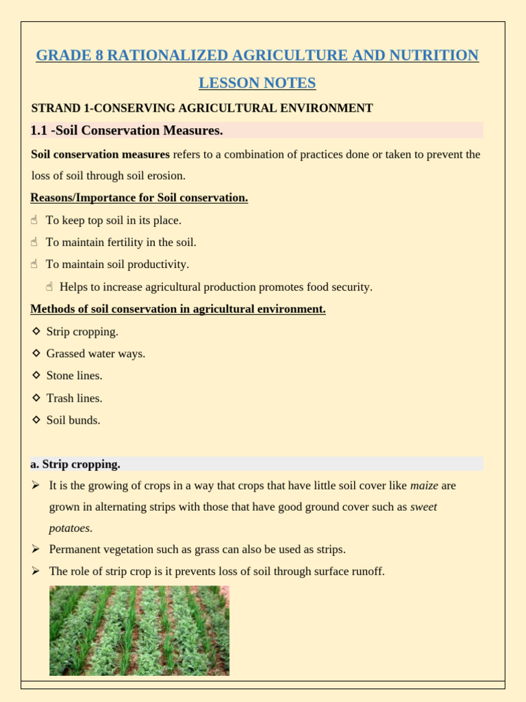 Grade 8 Rationalized Agriculture and Nutrition Lesson Notes2024 Teacher ...