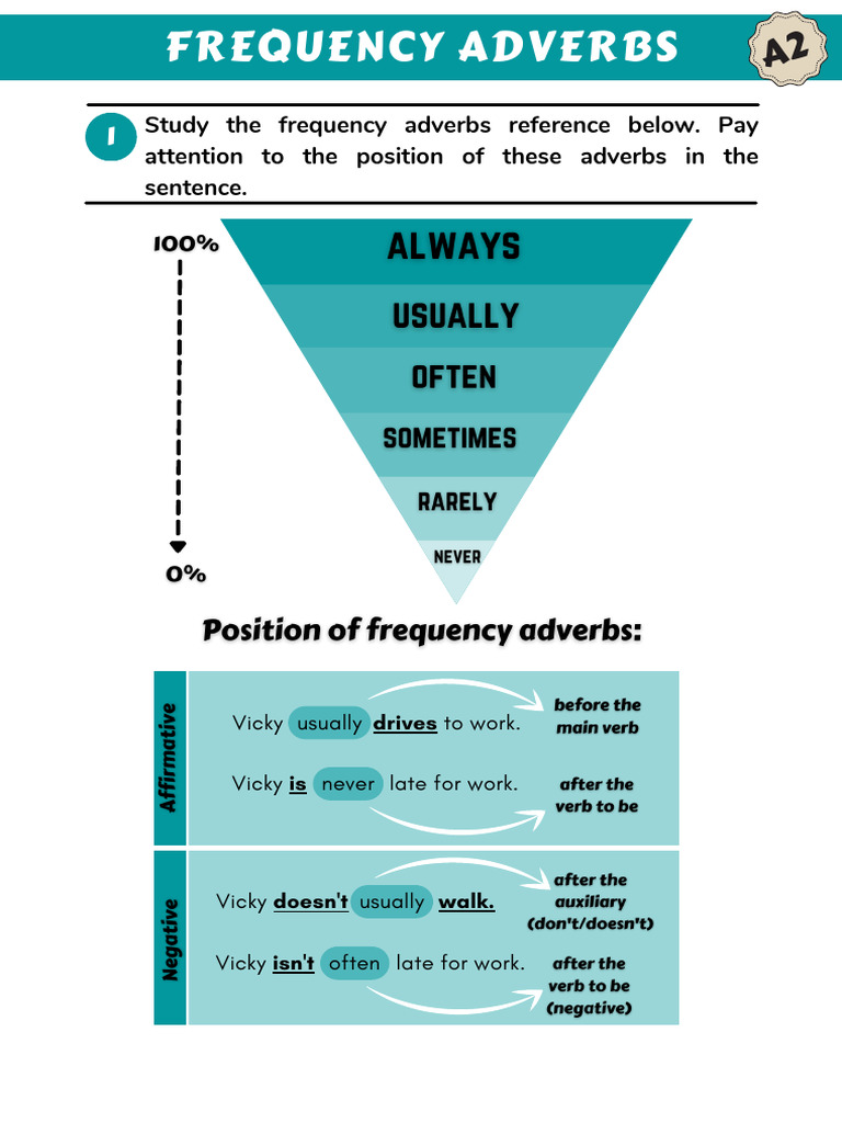 Frequency Adverbs A2 Vocabulary Worksheet | PDF
